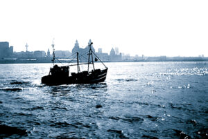 PHIL MAXWELL | Photographs from Phil Maxwell's archive